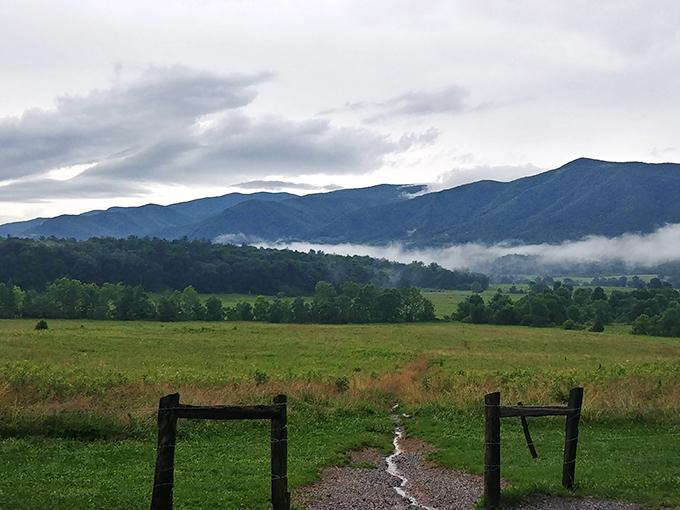 Townsend's "Peaceful Side of the Smokies" nickname makes perfect sense when you're gazing at mountain vistas without fighting crowds.