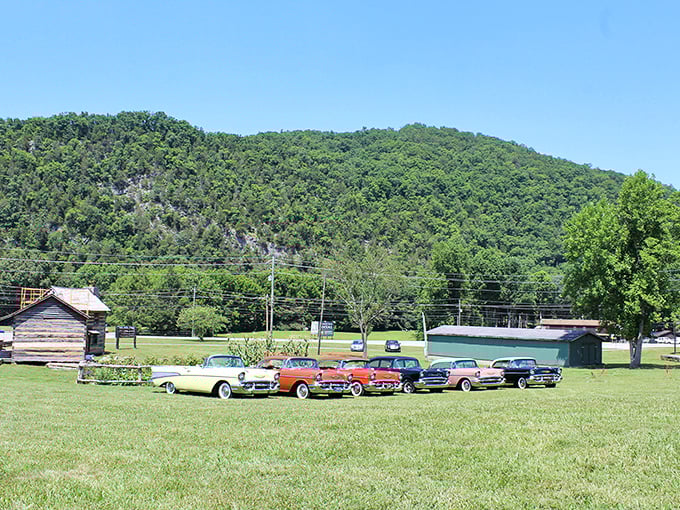 Classic cars and mountain views make this sunny day in Townsend feel like a peaceful drive through time.