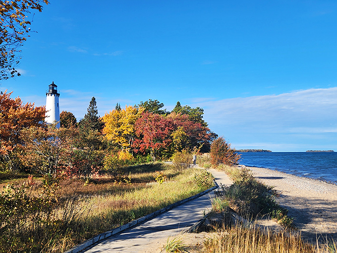 Lighthouse views from coastal bluffs remind you why sailors have trusted these beacons for generations.