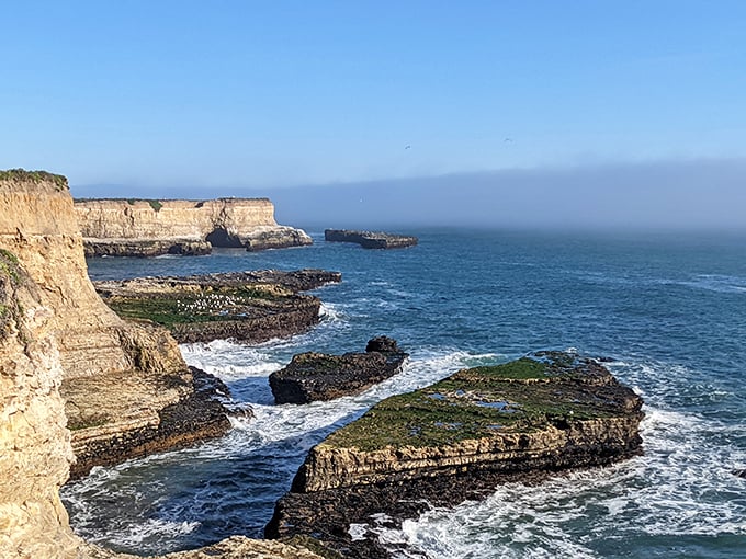 Dramatic doesn't begin to describe these coastal cliffs at Wilder Ranch. The Pacific puts on quite a show here!
