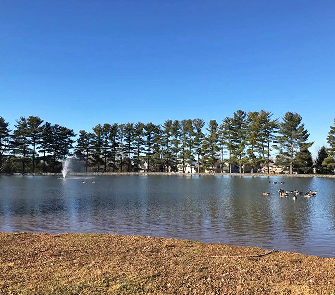 Taneytown's historic waters stand as a timeless landmark in this affordable Carroll County gem—natural eye candy that feeds the soul.