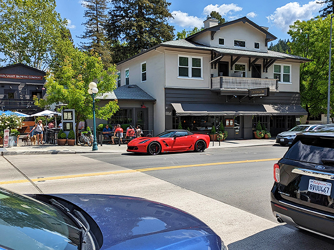 Tree-shaded streets create natural cooling tunnels perfect for strolling between shops and tasting rooms.