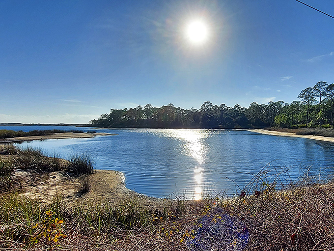 Where pine meets sand, Florida gets interesting &ndash; like peanut butter meeting chocolate, but with better views.