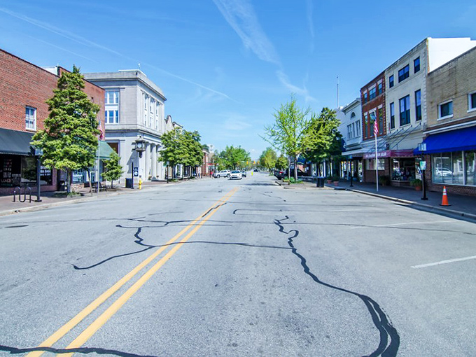 The quiet streets of Edenton whisper stories of colonial days, while trees provide shade for modern-day explorers.