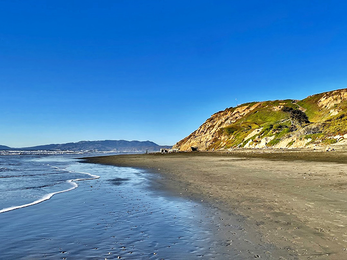 The windswept beauty of Fort Funston captivates humans while dogs explore every inch. Those hills were made for zoomies!