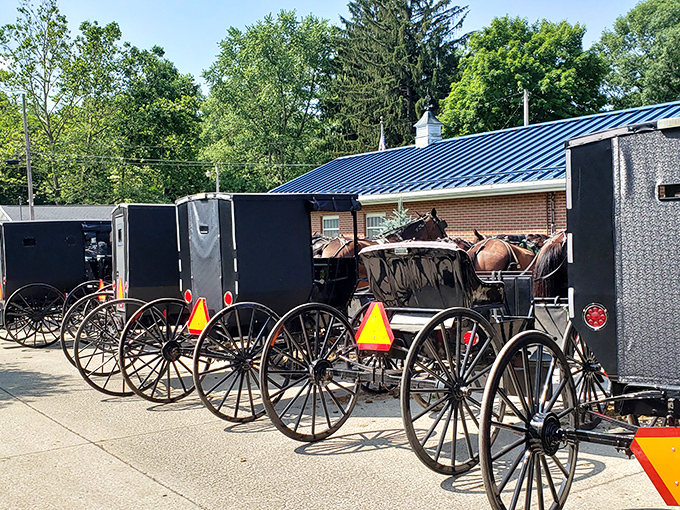 A white church steeple rises above Fredericksburg, still gathering the community just as it has for generations.