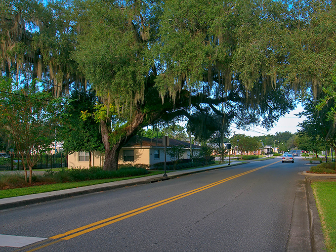 Tree-canopied streets lead to budget-friendly discoveries and lasting neighborhood friendships.