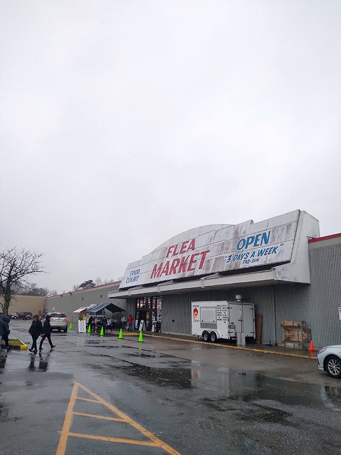 Even on rainy days, Jefferson Davis Flea Market keeps the treasure hunting going strong. Umbrellas optional, excitement guaranteed!