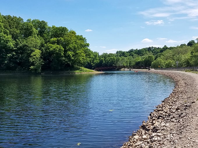 Lake Alma's shoreline curves gently around crystal waters. A hidden gem that locals try (unsuccessfully) to keep secret!