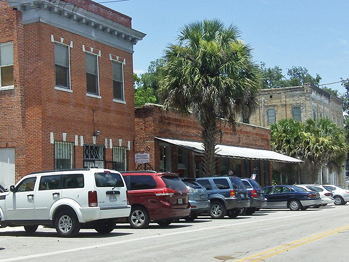 That magnificent oak with Spanish moss could tell stories about centuries of Micanopy life &ndash; if trees could talk, this one would have its own podcast.