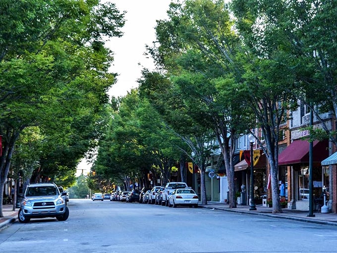 You can enjoy a peaceful walk down this tree-lined street, discovering unique local shops tucked away under a lush canopy.