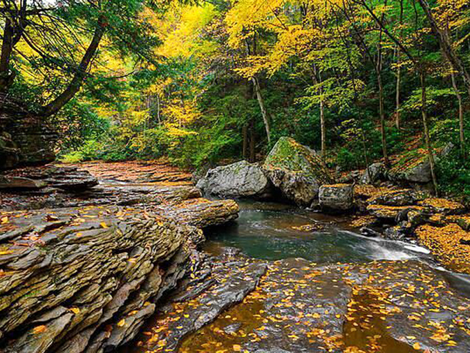 Fall colors frame Ohiopyle's crystal-clear waters. Mother Nature showing off her artistic side in this Pennsylvania paradise.