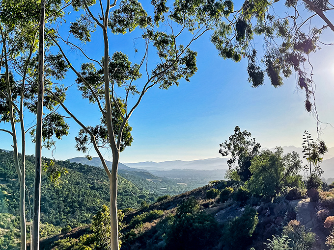 When the sun hits these hills just right, even non-believers start wondering if there might be something magical in that Ojai water after all.
