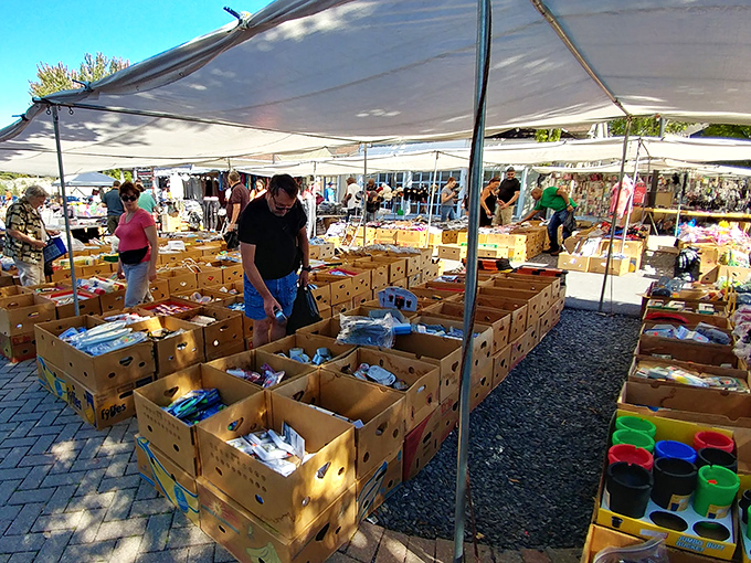 Organized chaos of collectibles. Every shelf and display case at Pocono Bazaar holds potential treasures for the patient hunter.