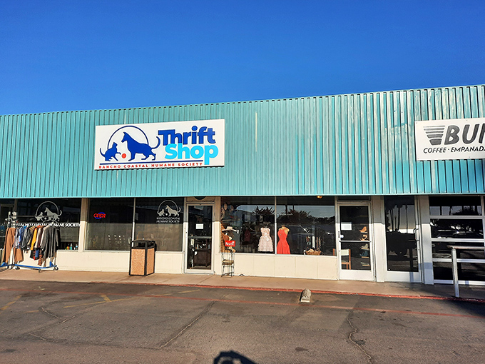 Inside this animal-loving thrift shop, racks of colorful clothing wait to find new homes, just like the pets they help support.