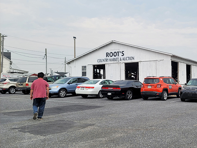 Where traditions are born! Root's sprawling white buildings have hosted generations of shoppers hunting for everything from fresh produce to antiques.