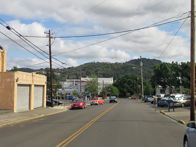 The Umpqua Valley surrounds Roseburg with natural beauty that doesn't cost a penny to enjoy.