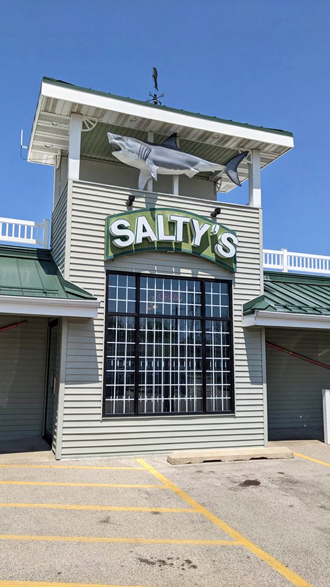 When your restaurant has a shark on the roof, you're making a promise about serious seafood that Salty's delivers on with every bite.