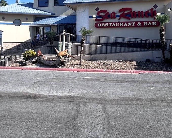 Where island vibes meet serious seafood. Sea Ranch's coastal architecture sets the stage for South Padre's freshest catches.