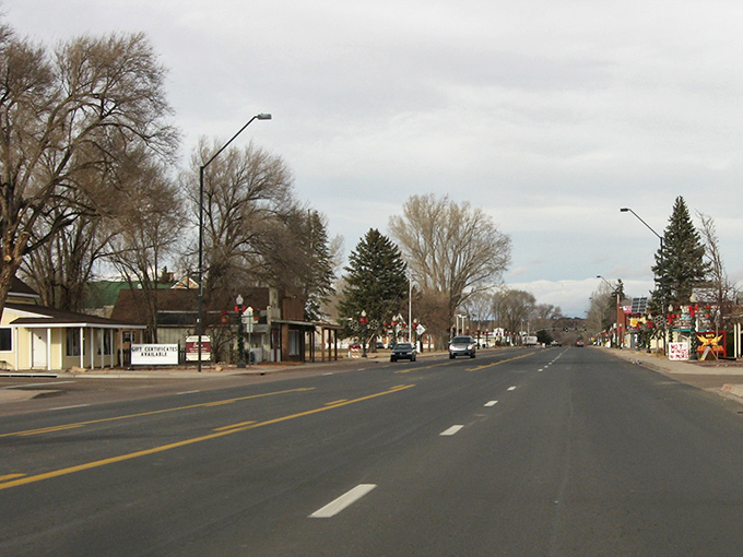 Winter's quiet embrace in Snowflake&mdash;where even the trees take a well-deserved rest from Arizona's usual heat.