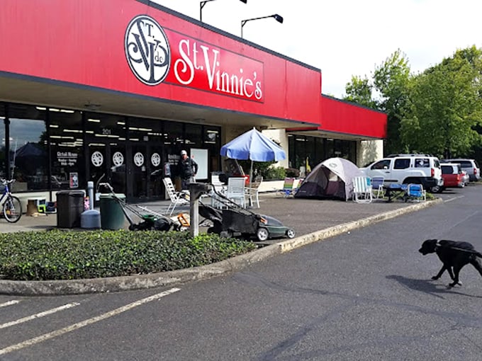 Even four-legged friends appreciate the outdoor furniture selection at St. Vinnie's. One shopper's trash becomes another dog's perfect people-watching perch.