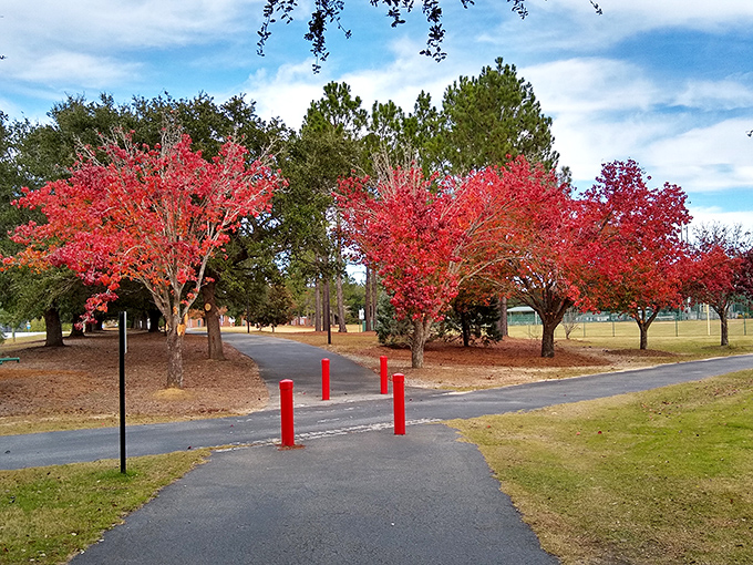 Fall foliage that doesn't require a fall from your savings! Statesboro's vibrant trees create a postcard setting for budget-conscious retirees.