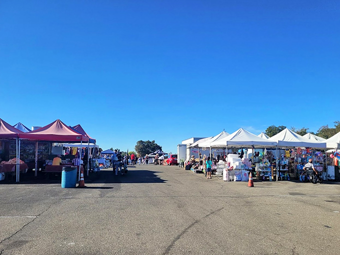 One person's junk is another's treasure. Stockton's flea market offers unexpected finds for those willing to look closely.