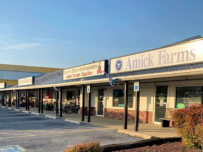 Amick Farms and neighboring shops create a one-stop destination for everything from garden supplies to vintage finds.