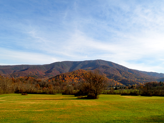 Fall's paintbrush has been busy in Townsend! These mountains put on a color show that makes even the best TV look like a black and white film.