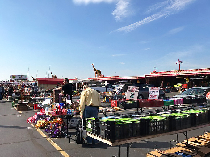 In Traders World, time stands still as shoppers lose themselves in endless aisles of possibilities and peculiarities.