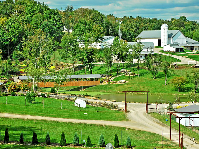 Rolling hills, white barns, and a covered bridge create the quintessential Ohio countryside scene—Norman Rockwell would grab his paintbrush immediately!