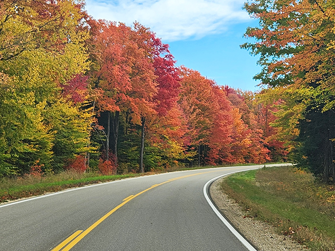Summer's green canopy creates nature's perfect archway. Whitefish Bay's scenic route delivers postcard moments at every turn.