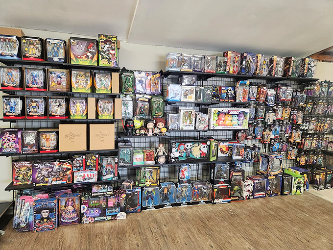 Action figures frozen in time, waiting for new adventures. Each plastic hero represents both yesterday's playtime and tomorrow's potential collectible investment.