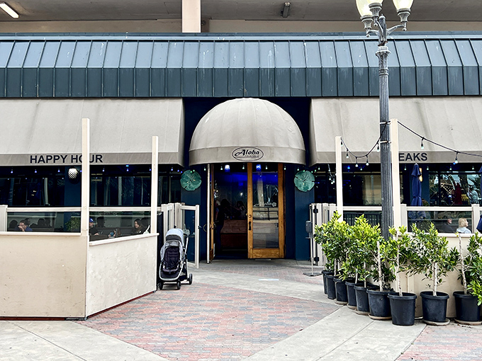 Aloha Steakhouse brings oceanfront dining down to earth&mdash;the kind of place where "happy hour" actually makes you happy instead of checking your bank balance afterward.