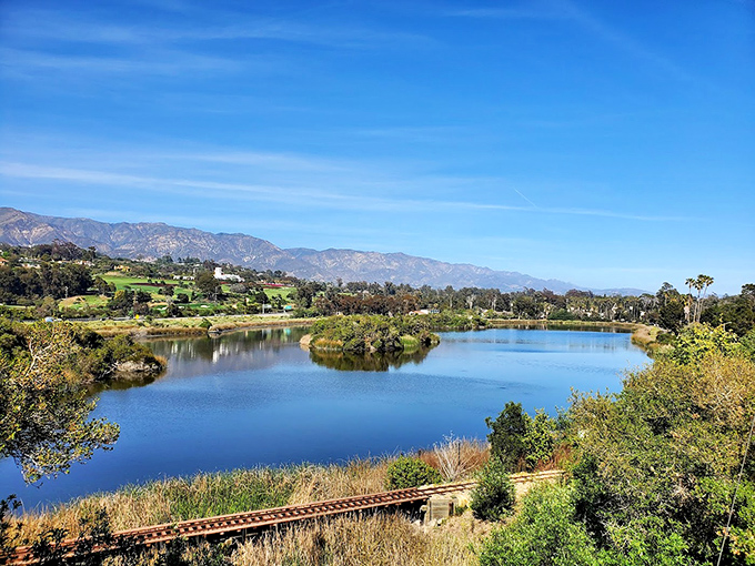 The Andree Clark Bird Refuge offers a slice of serenity where birds have better waterfront property than most California residents ever will.