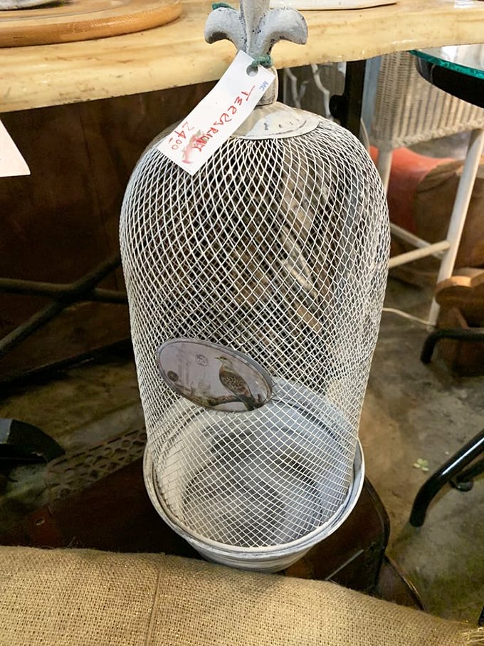 Not your average bird cage. This delicate vintage dome once housed someone's feathered friend, now waiting to become your home's most unexpected conversation starter.