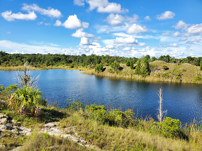 Aripeka Sandhills Preserve showcases Florida's natural beauty without the theme park admission fees. Mother Nature's finest work on display.