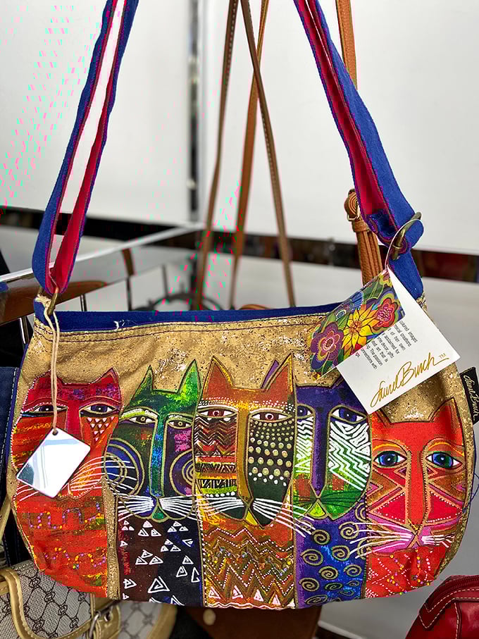 This colorful cat-themed bag proves thrifting's golden rule: the most unique accessories have already been pre-owned. Someone's fashion loss becomes your signature find.