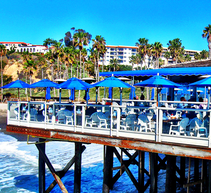 California dreaming looks exactly like this – blue umbrellas, ocean views, and the promise of seafood that was probably swimming this morning.