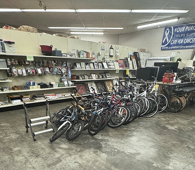 Bicycle battalion! From beach cruisers to mountain warriors, these wheels are ready for their comeback tour on the California trails.