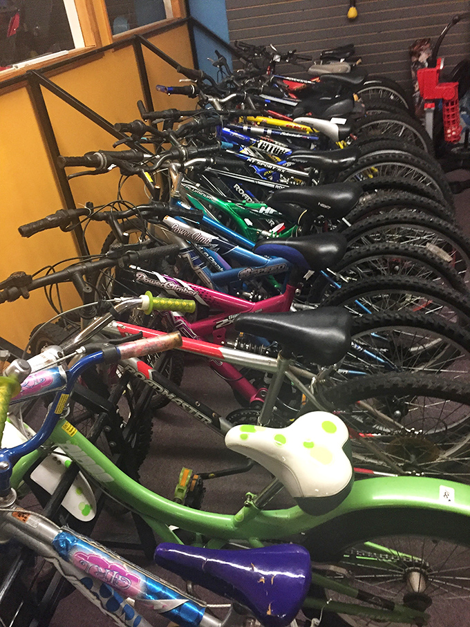 A lineup of bicycles stands at attention, each one ready to become someone's first taste of freedom or next summer adventure.