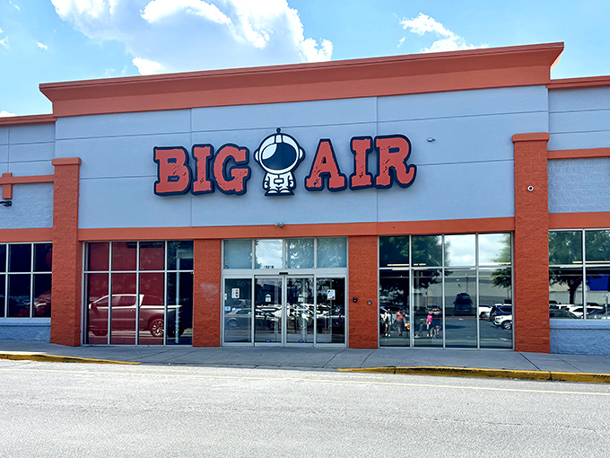 Big Air Trampoline Park: where gravity becomes optional and grown-ups remember being kids again.