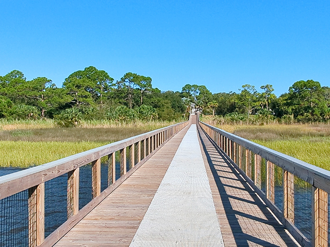 This boardwalk through coastal marshlands offers front-row seats to Mother Nature's daily performance. No ticket required, sensible shoes highly recommended.
