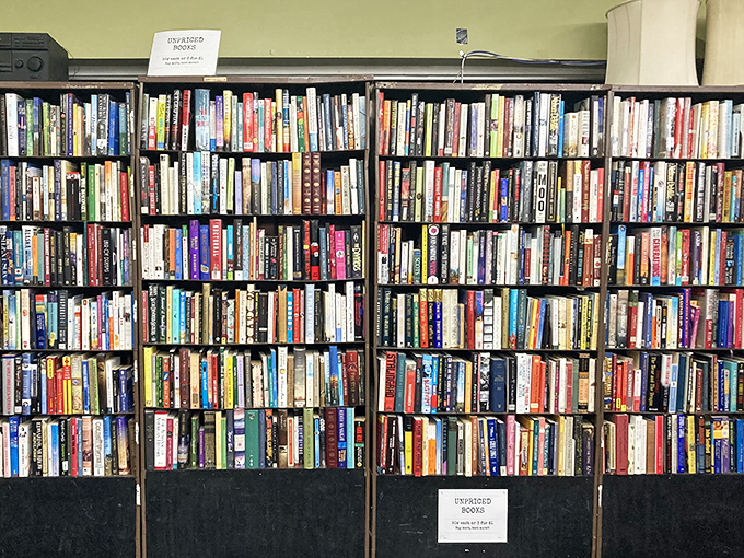 The book section rivals small libraries, offering literary journeys from 50 cents that Amazon can't begin to match.