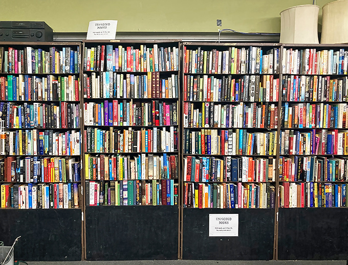 A bibliophile's dream wall&mdash;thousands of stories waiting for their next chapter in someone's home. No algorithm recommended these gems.
