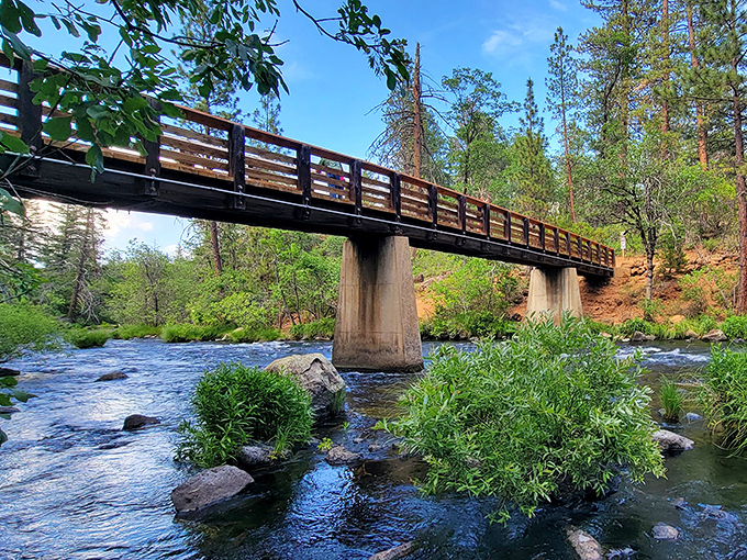 This sturdy bridge connects you to adventure without requiring any engineering degree to cross.