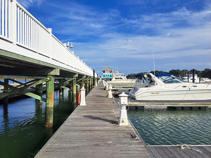 The marina's wooden walkways invite you to stroll past gleaming boats while pretending you know the difference between port and starboard.
