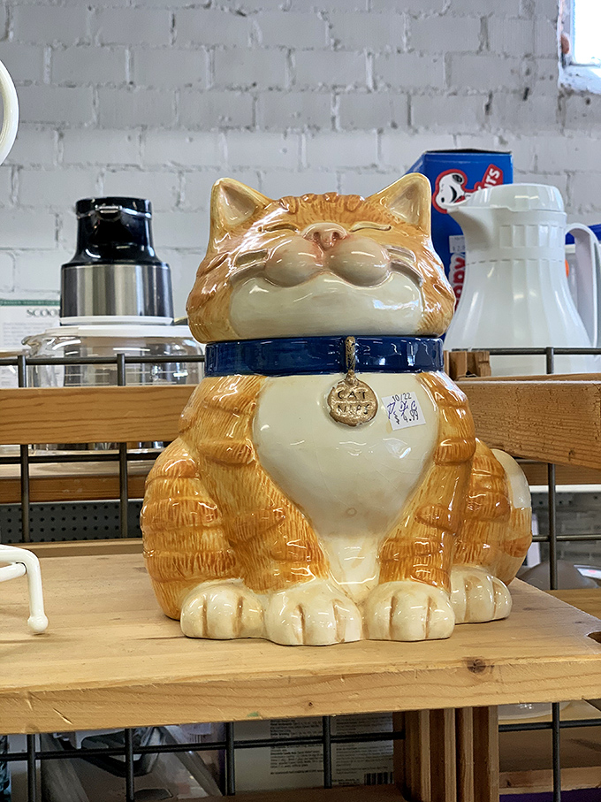 This ceramic cat jar isn't just smiling because it's cute—it knows it's about to become someone's quirky kitchen conversation starter.