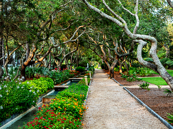 Cerulean Park's winding paths and lush landscaping create a secret garden effect. Those trees have mastered the art of dramatic posing.