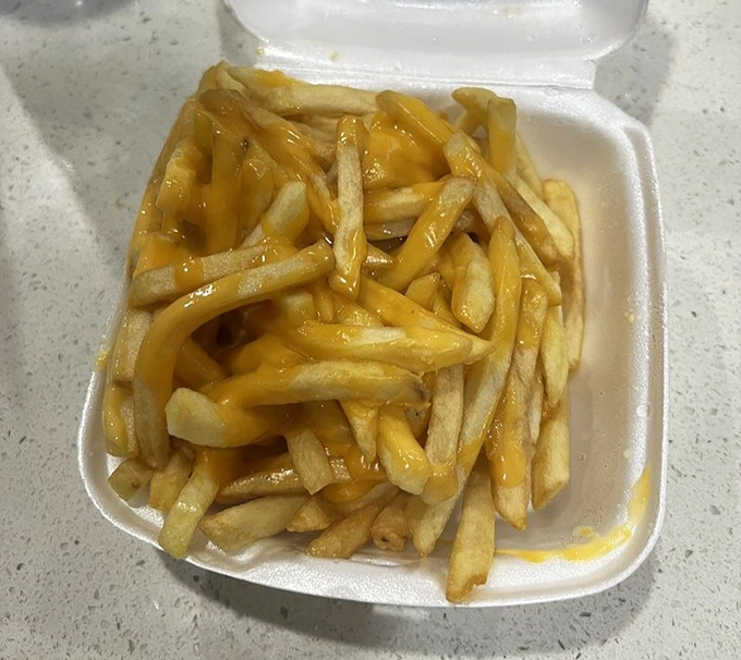 Cheese fries that don't apologize for being exactly what they are: a golden, gooey masterpiece that renders willpower completely useless.